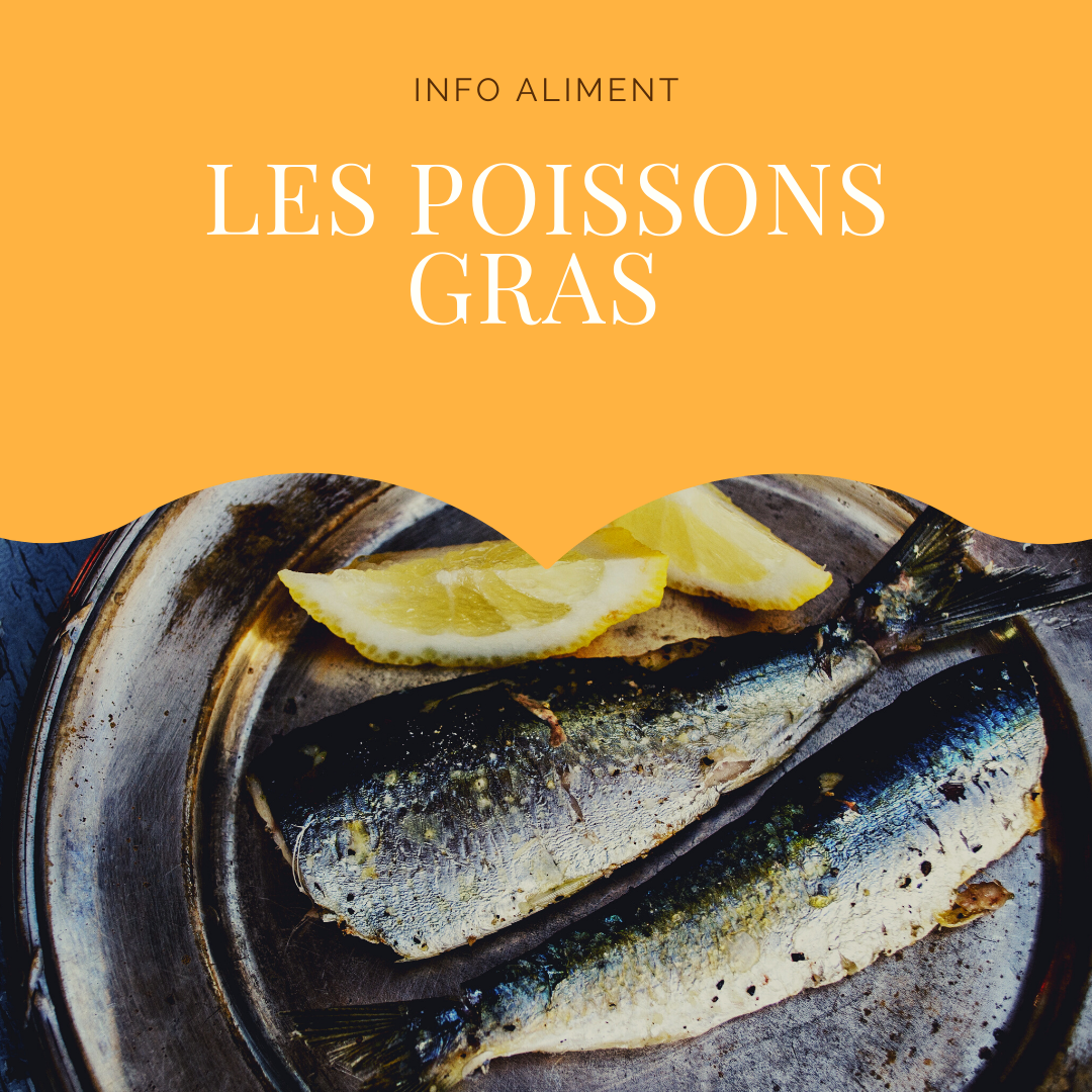 les poissons gras – Élodie Lauf Diététicienne Nutritionniste